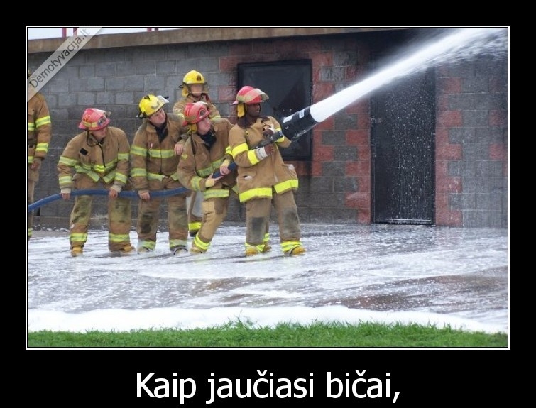 Kaip jaučiasi bičai, | Demotyvacija.lt
