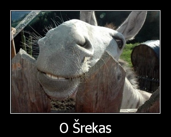 O Šrekas | Demotyvacija.lt