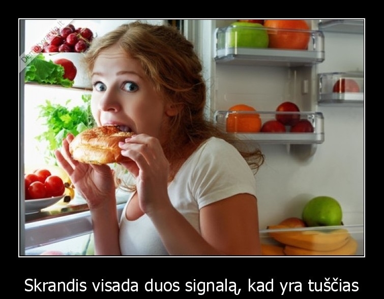 Skrandis visada duos signalą, kad yra tuščias | Demotyvacija.lt