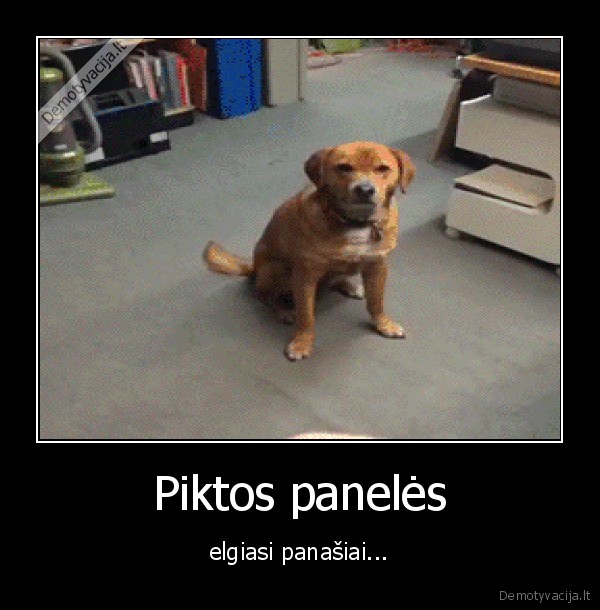 Piktos panelės | Demotyvacija.lt